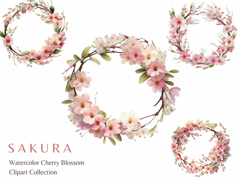 Sakura Cherry Blossom Clipart, Watercolor Japanese Blossoms, Spring ...