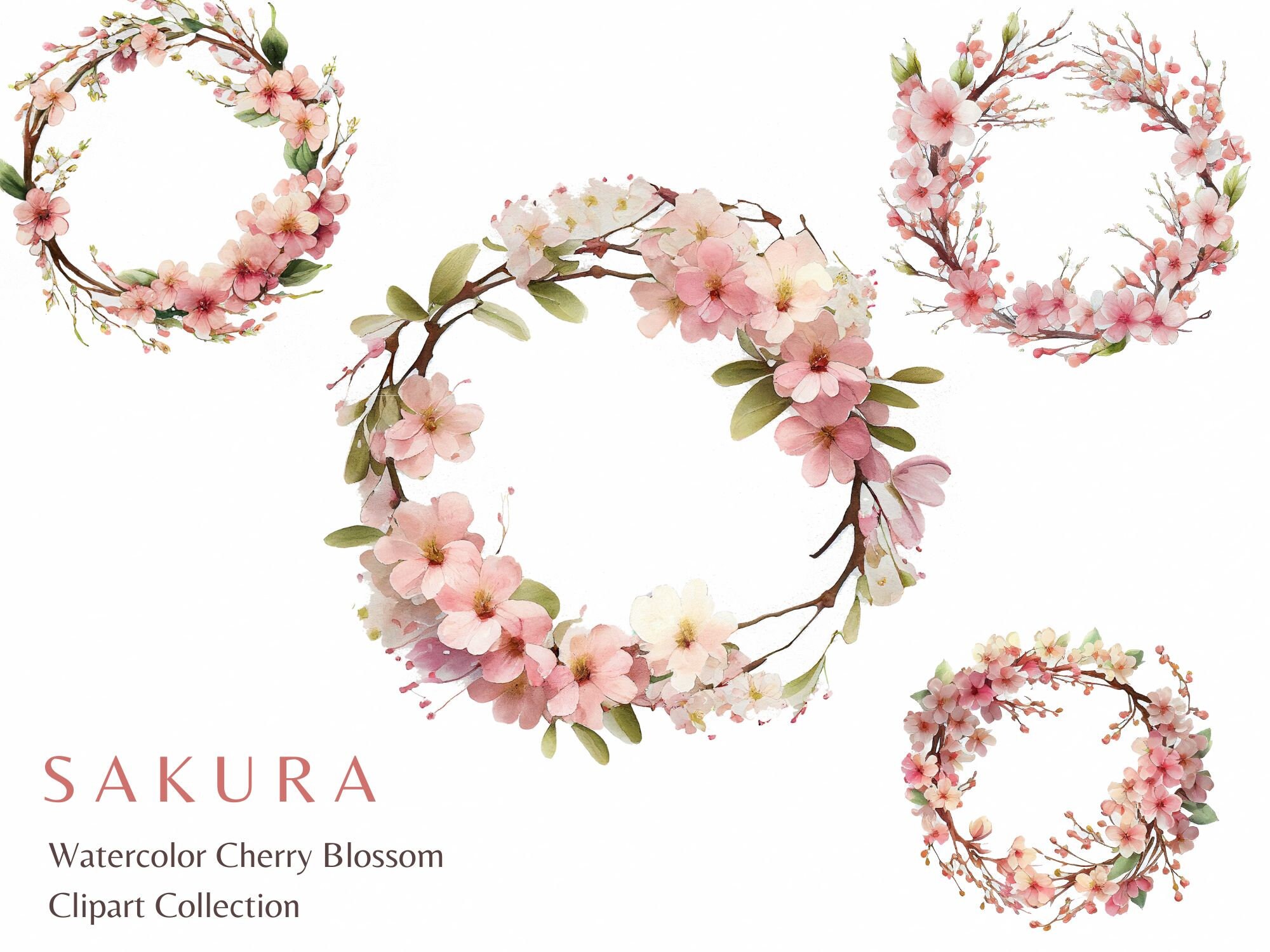 Sakura Cherry Blossom Clipart, Watercolor Japanese Blossoms, Spring ...