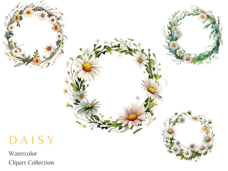 Watercolor Daisy Clip Art Cute and Simple Floral Graphics for Digital ...