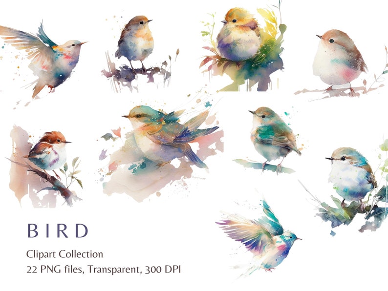Watercolor Bird Clip Art, 22 Pcs, for Invitations, Scrapbooks, Weddings ...