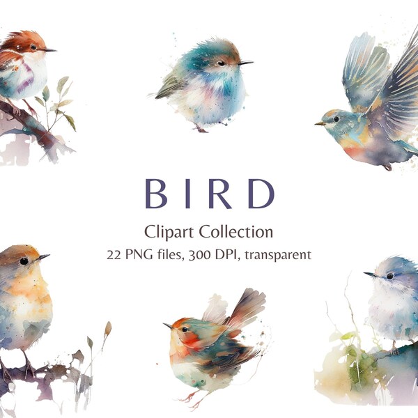 Bird Art Watercolor - Etsy