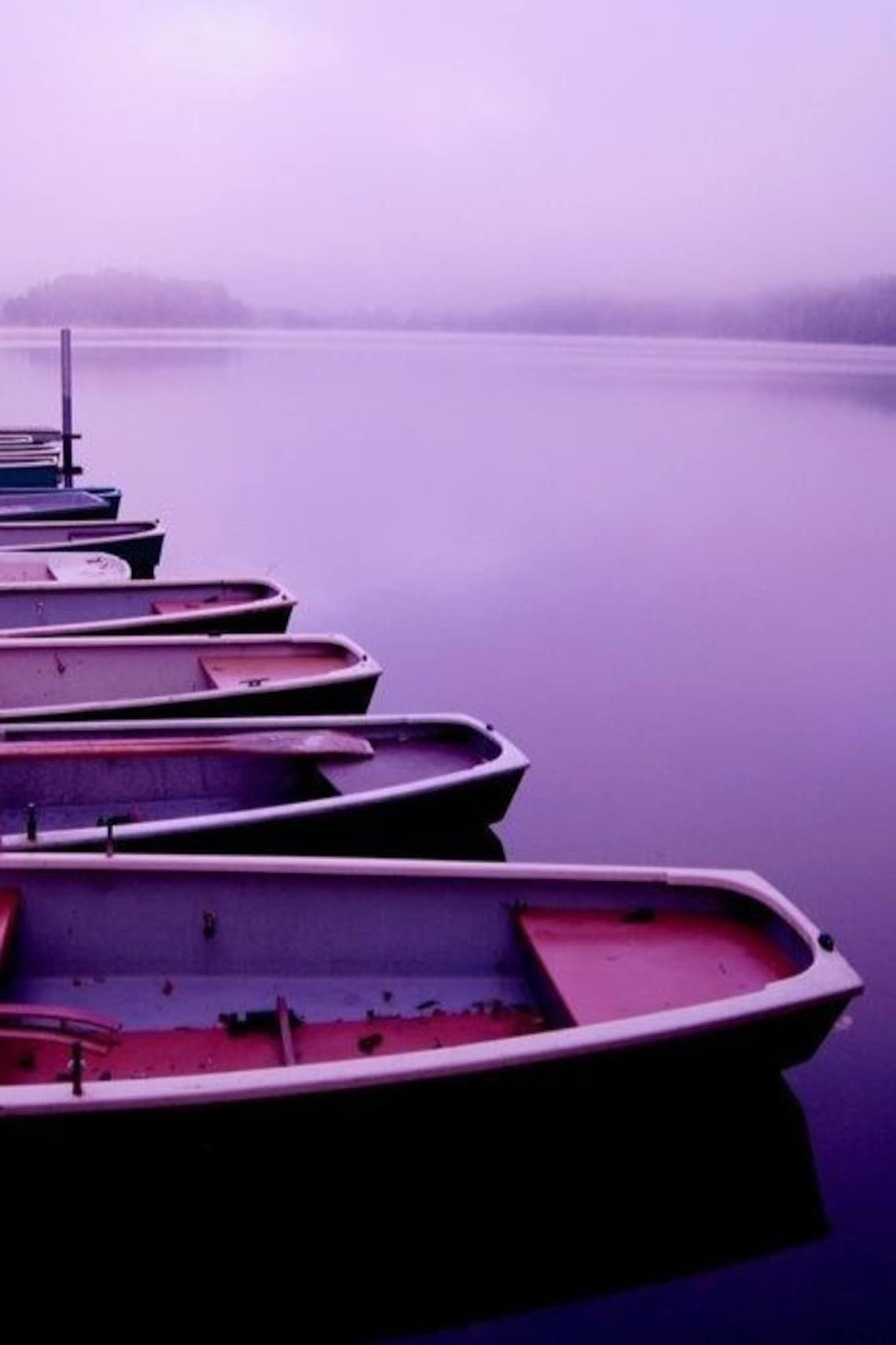 Lilac Digital Photo Collage Kit | 60 Images, Digital Download ...