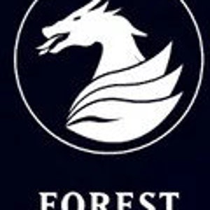 Dire Elf Elite Guard (10mm Warmaster) by Forest Dragon - Etsy