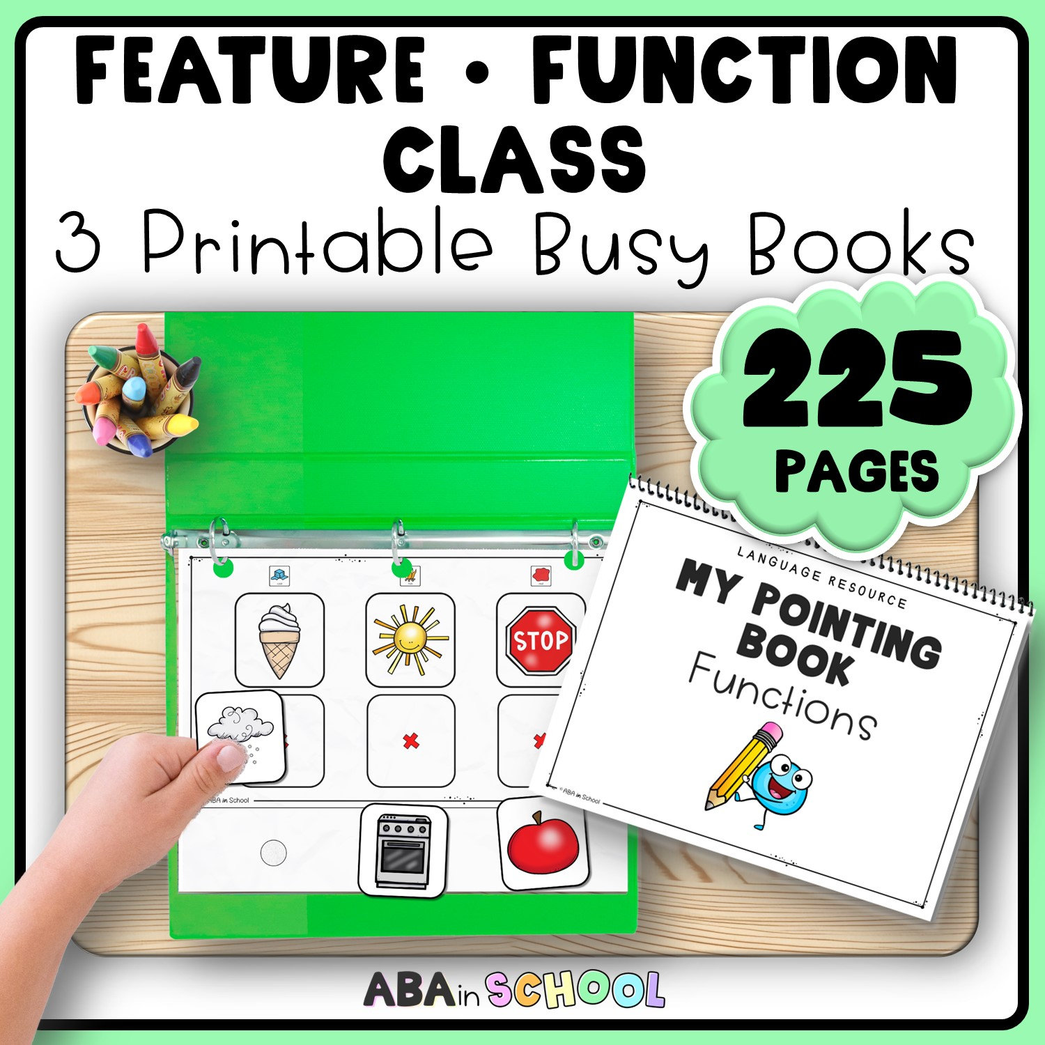 Receptive Identification Feature Function Class Activities ABLLS ...