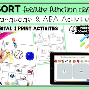 Category Sorting - Features Functions Class - Speech Therapy Activity ...