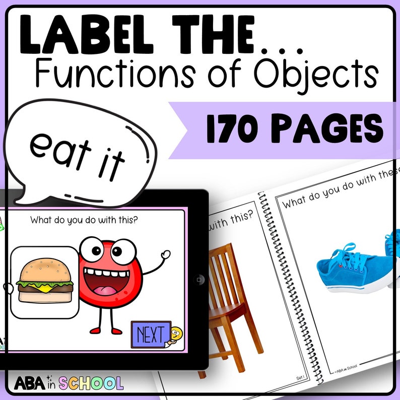 Receptive Identification Feature Function Class Activities ABLLS ...