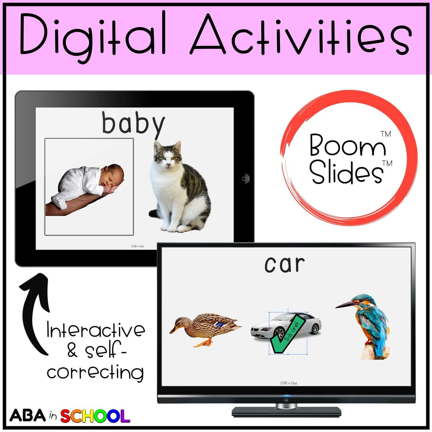 Word Picture Match Functional Words List With Pictures BUNDLE | ABLLS ...