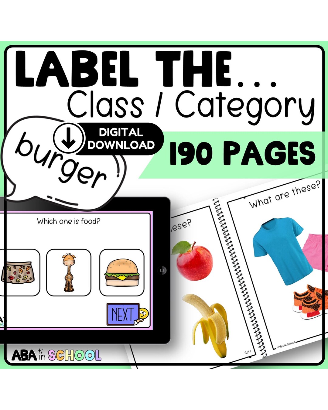Labeling Class Label a Picture Feature Function Class ABLLS Assessment ...