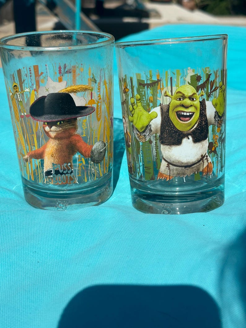Shrek Themed Water Glasses, Set of 2 - Etsy