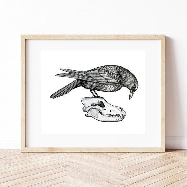 Bird Skull Drawing - Etsy