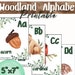 Woodland Themed Alphabet Printable | Woodland Classroom Decor ...