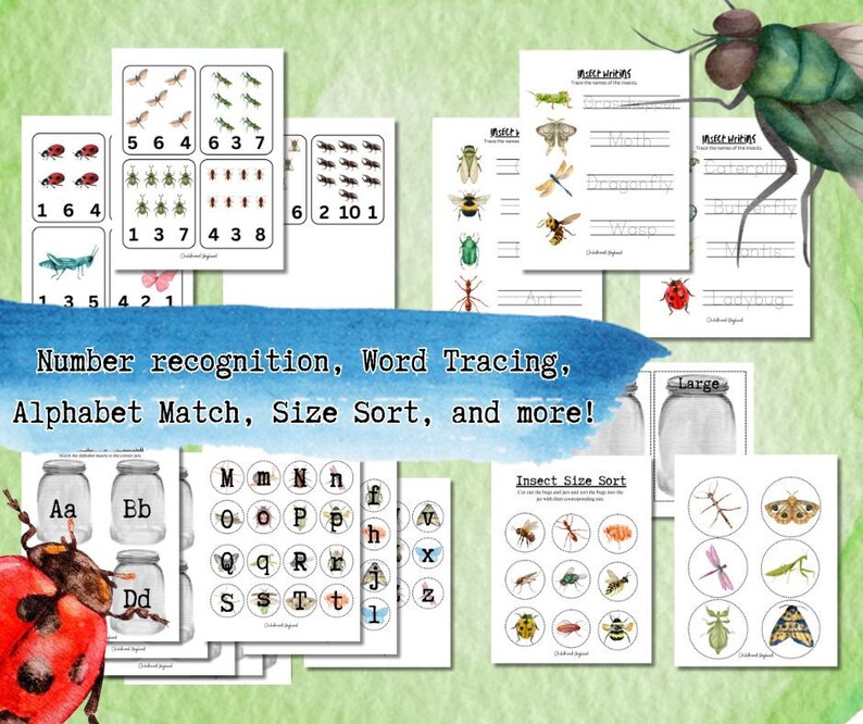 Insect Unit Study for Preschool | Kindergarten Insect Unit Study ...