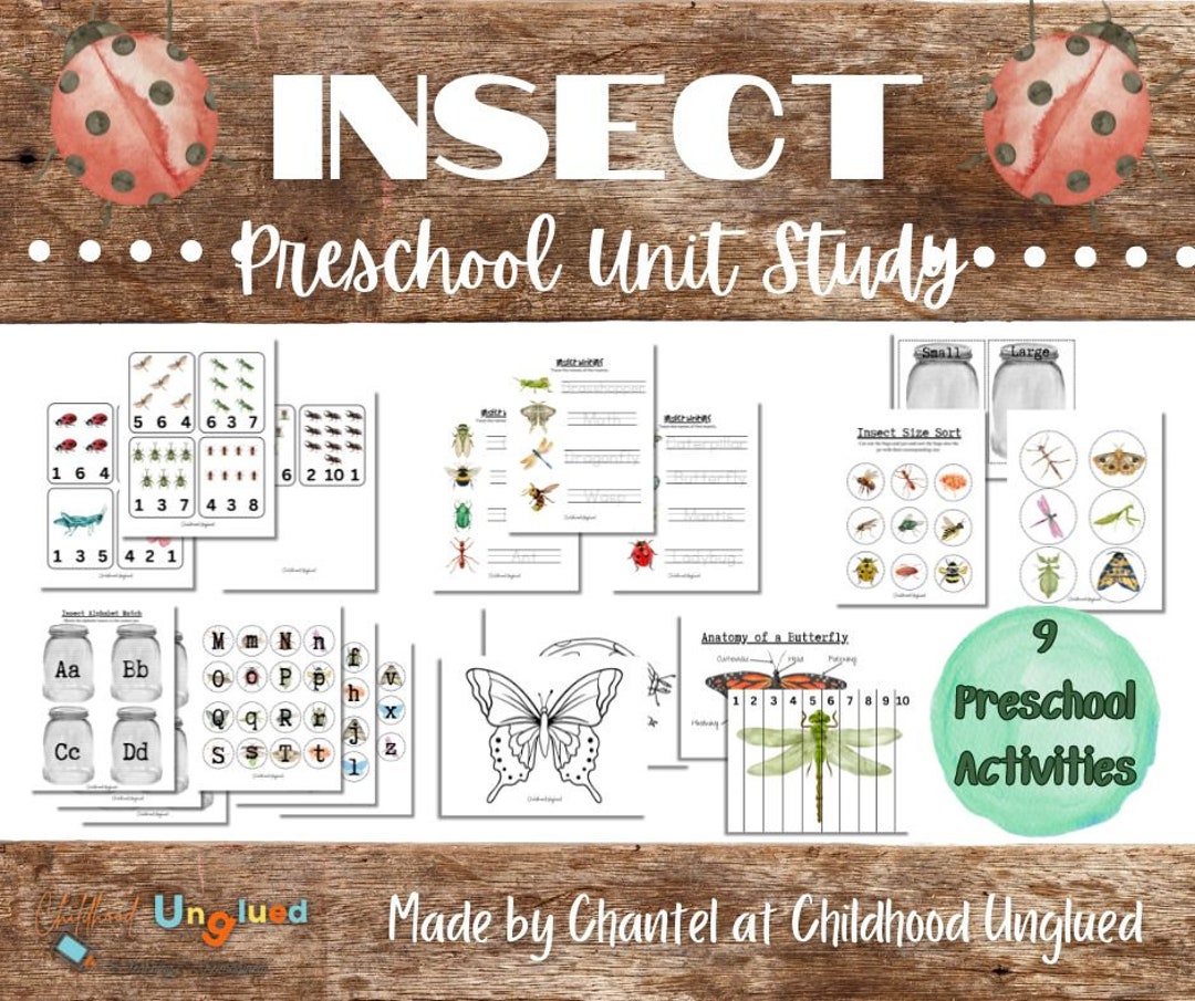 Insect Unit Study for Preschool | Kindergarten Insect Unit Study ...