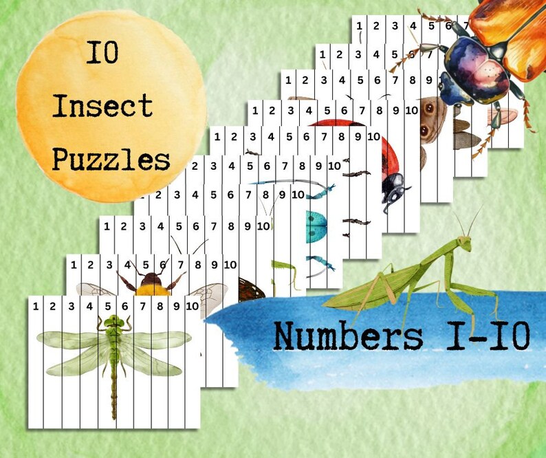 Insect Unit Study for Preschool | Kindergarten Insect Unit Study ...