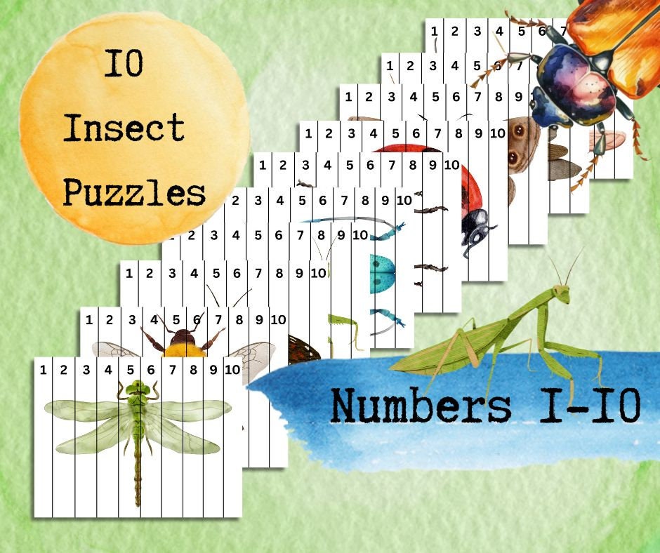 Insect Unit Study for Preschool | Kindergarten Insect Unit Study ...