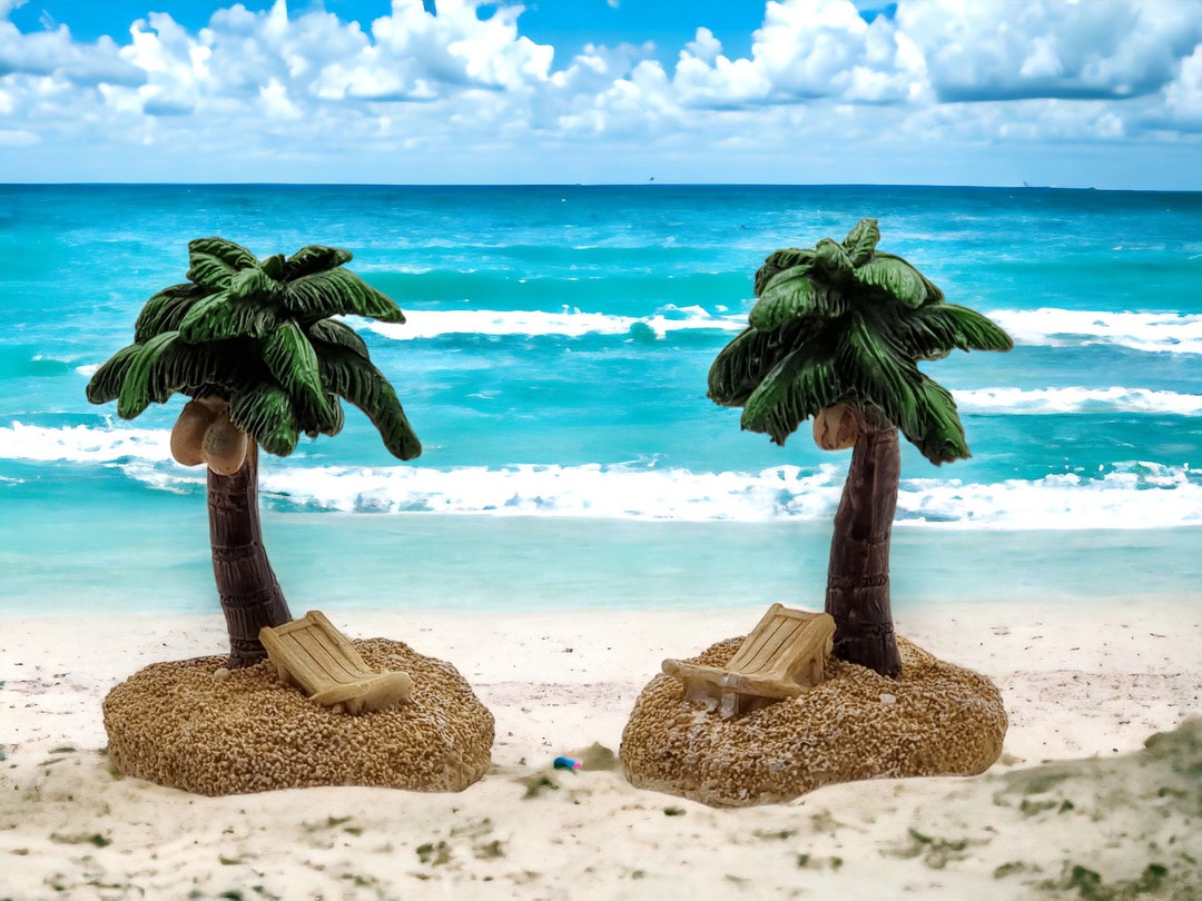3,15" Mini Coconut Palm, Mini Tree, Fairy Garden Decoration, Flower ...