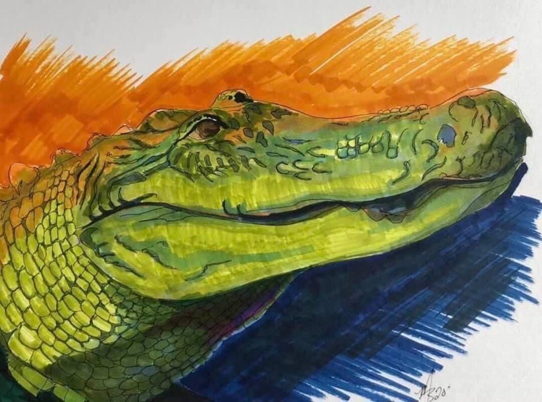 Florida Gator Print: Hand-drawn Collegiate Wall Art (11x14) - Etsy
