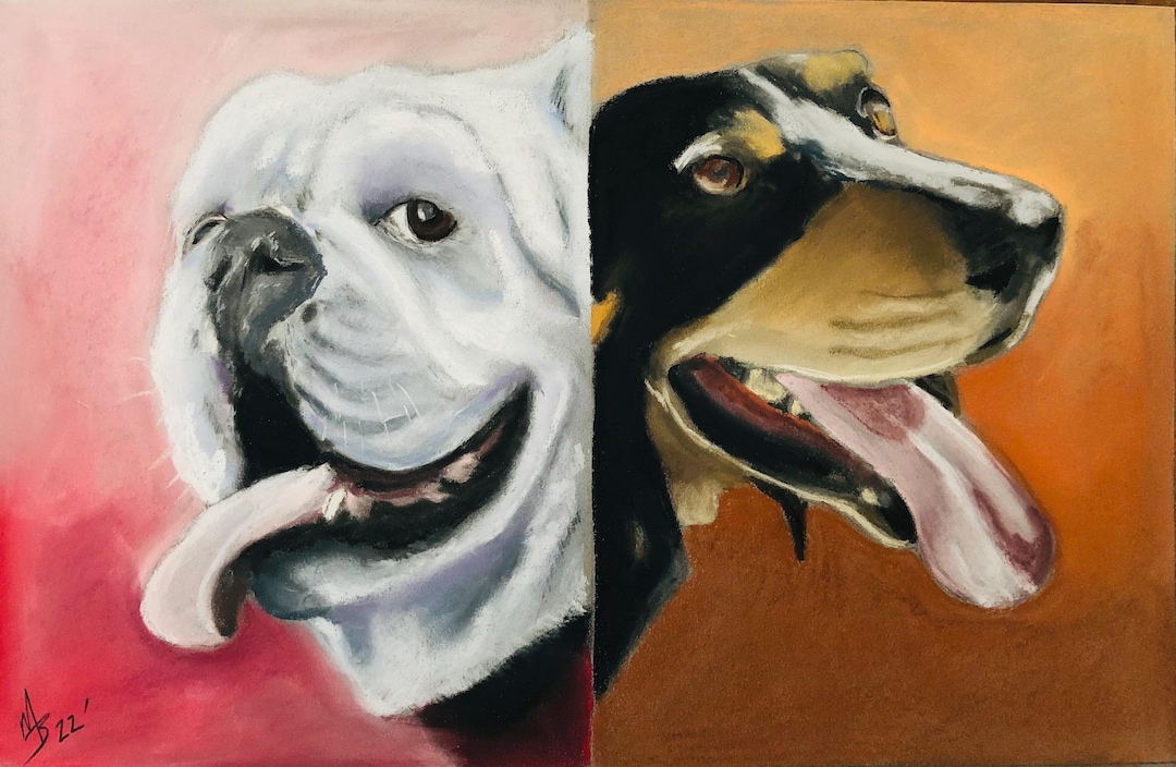 House Divided UGA/UT - Etsy