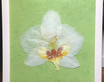 Pressed Orchid | Etsy