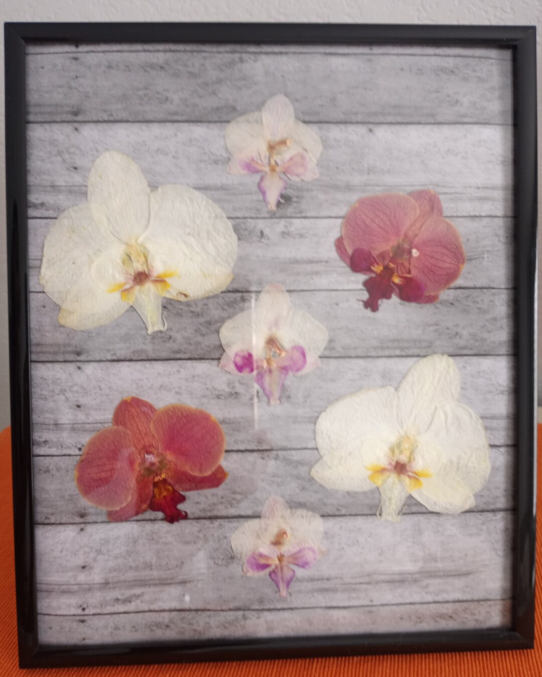 Pressed Orchids in Frame - Etsy