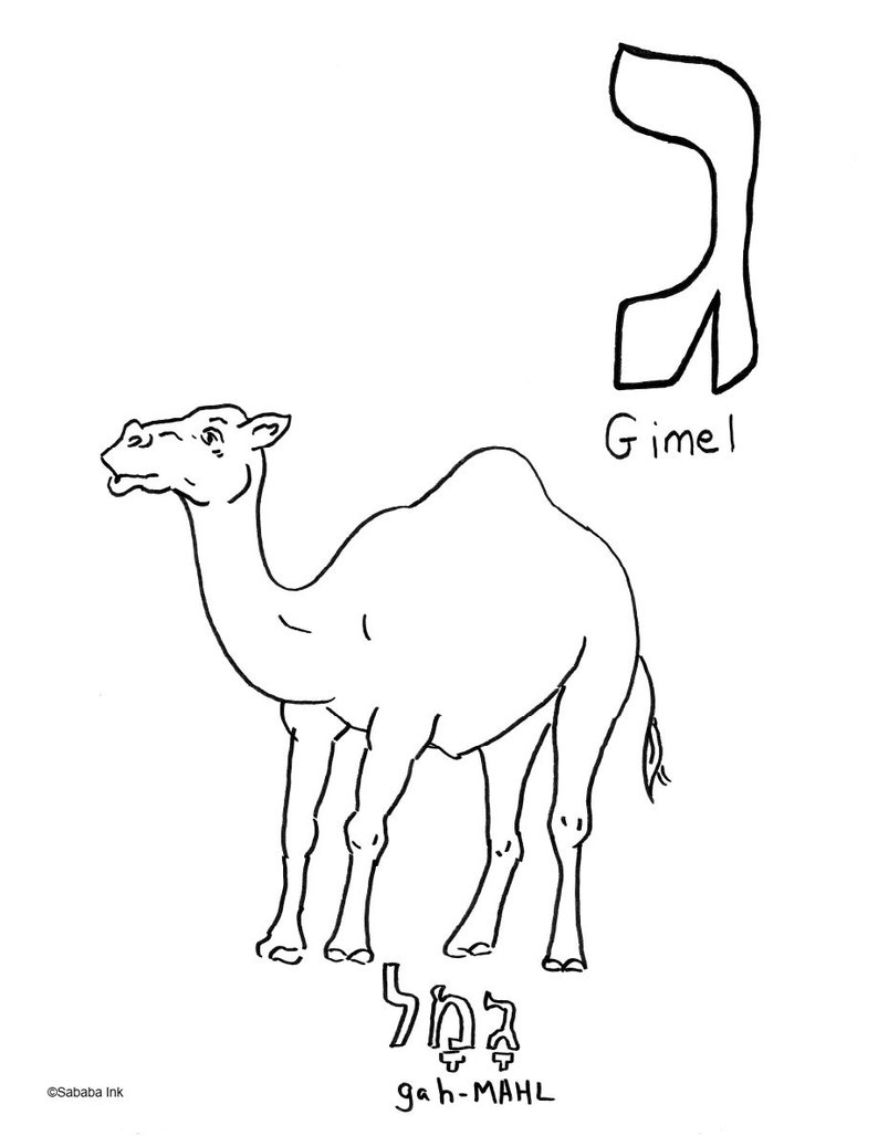 Hebrew Alphabet Coloring Book - Etsy