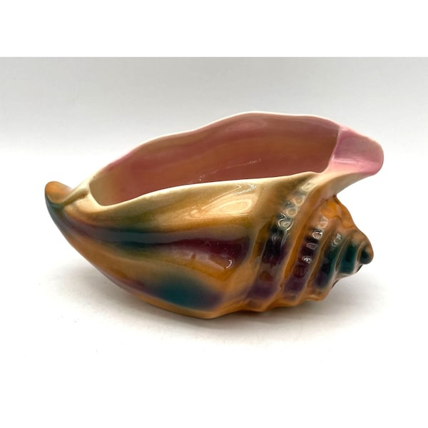 Conch Shell Planter - Etsy