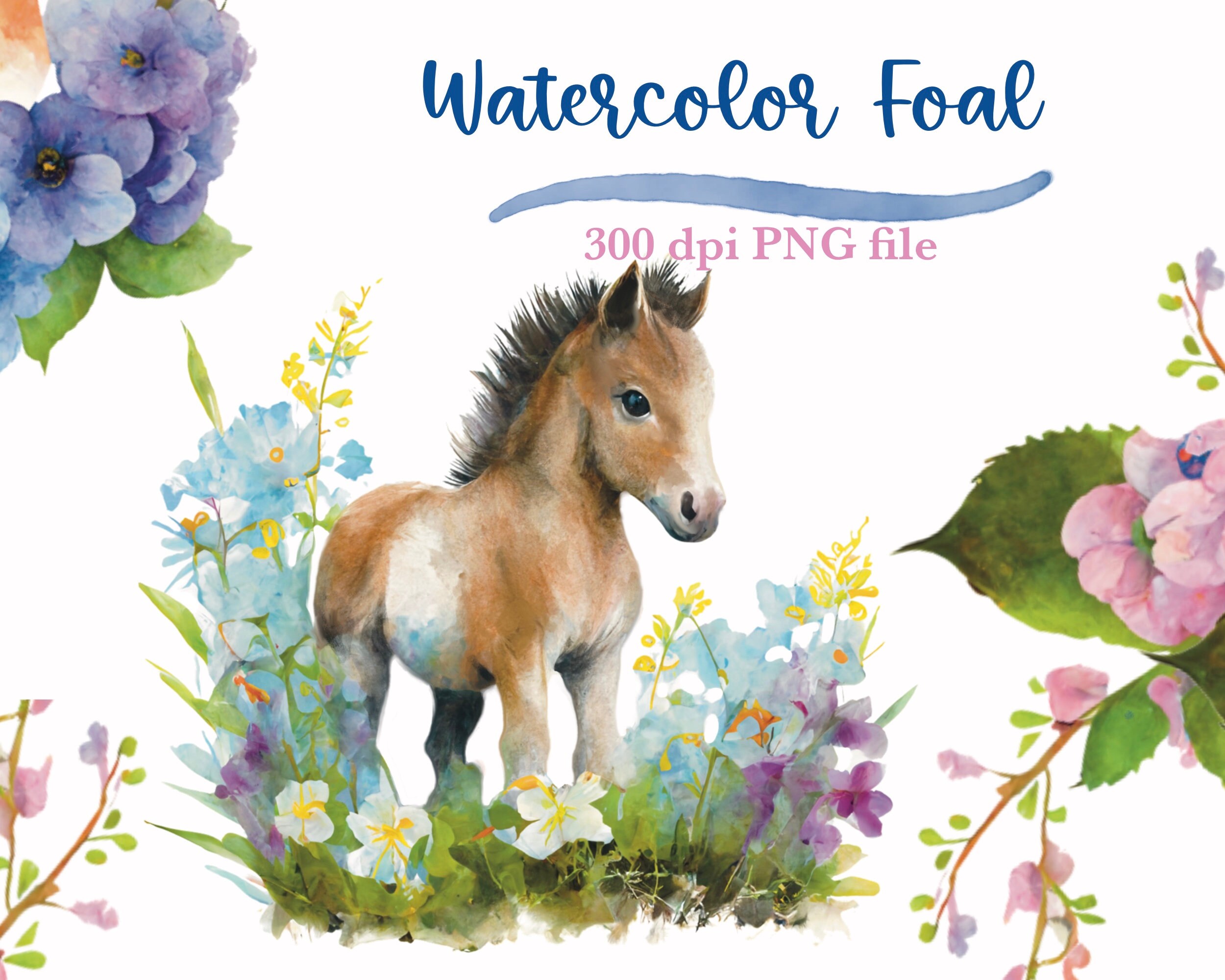 Foal Clip Art