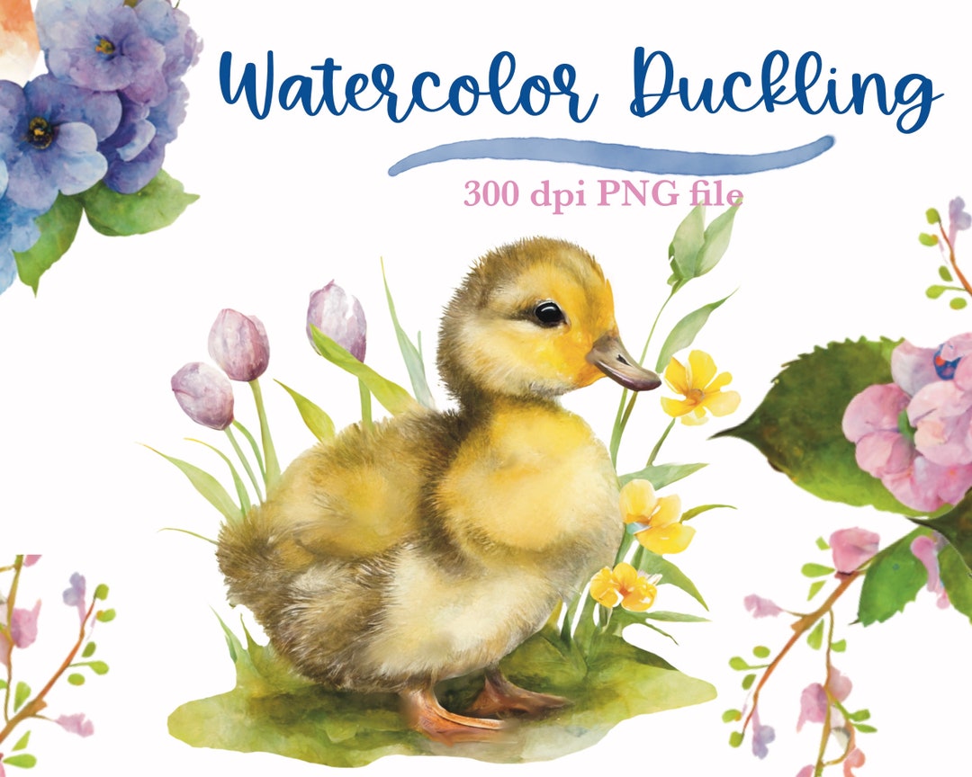 Adorable Baby Duckling With Spring Flowers Watercolor Clipart, 300 Dpi ...
