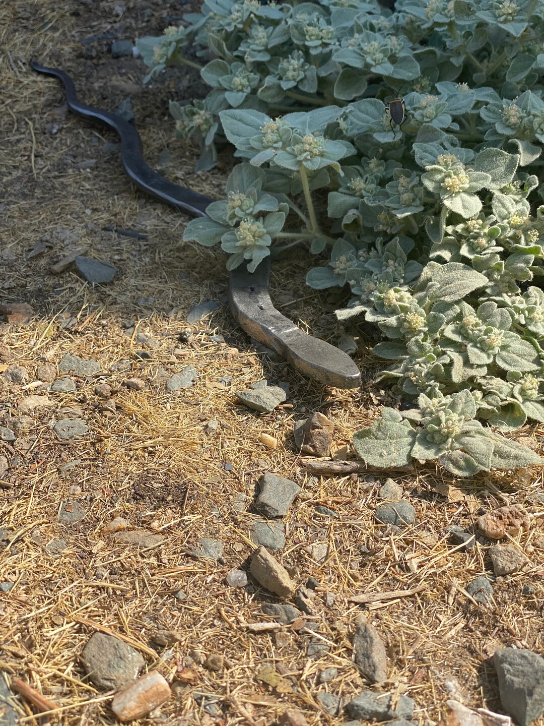 Snake Yard Ornament - Etsy