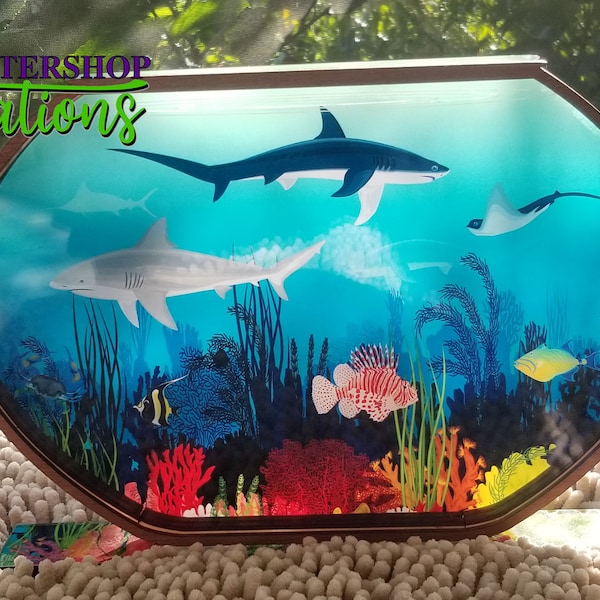 Shark Tooth Display - Etsy