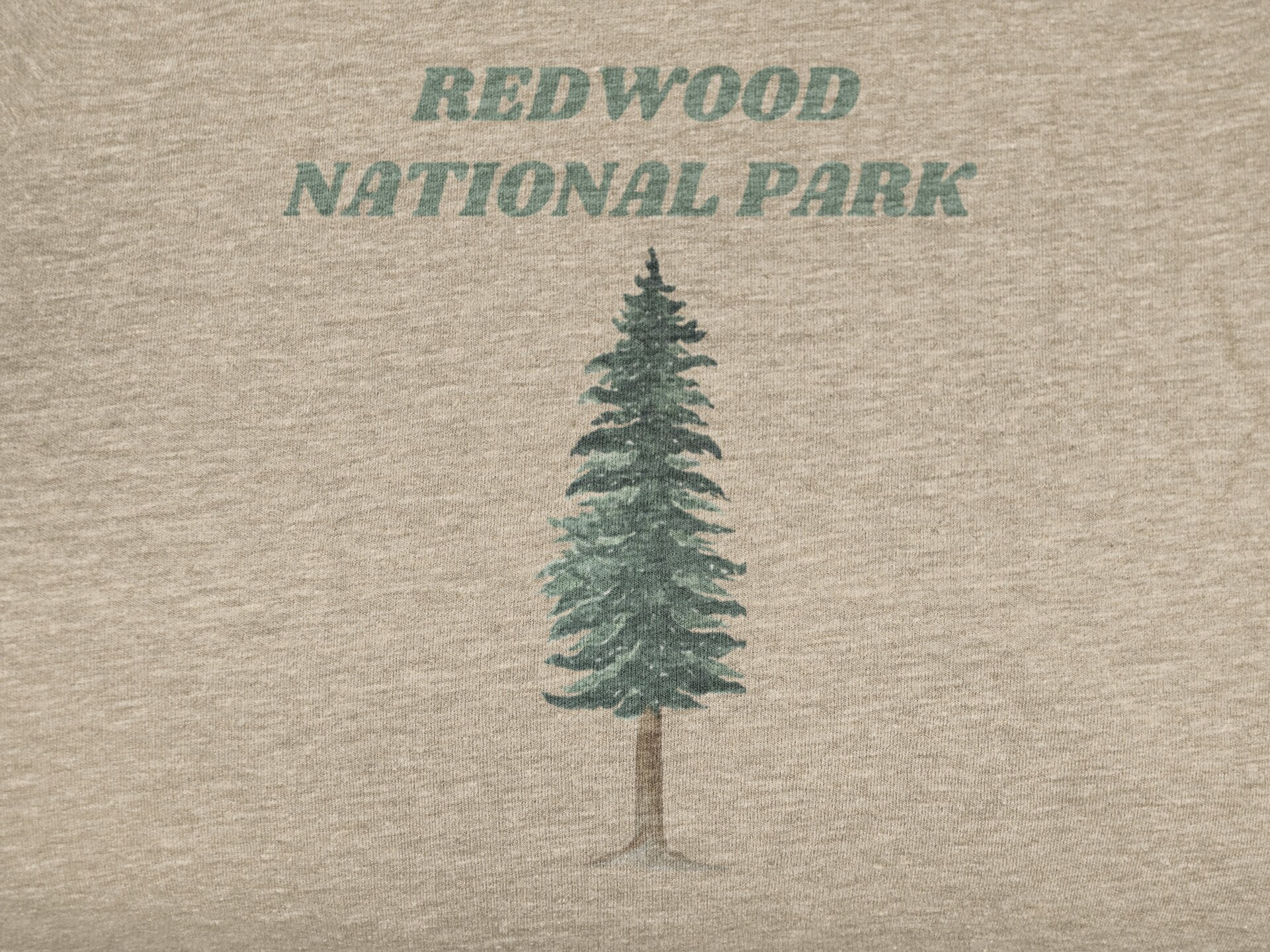 Redwood, Redwoods, National Park, Northern California, Tee, T-shirt ...
