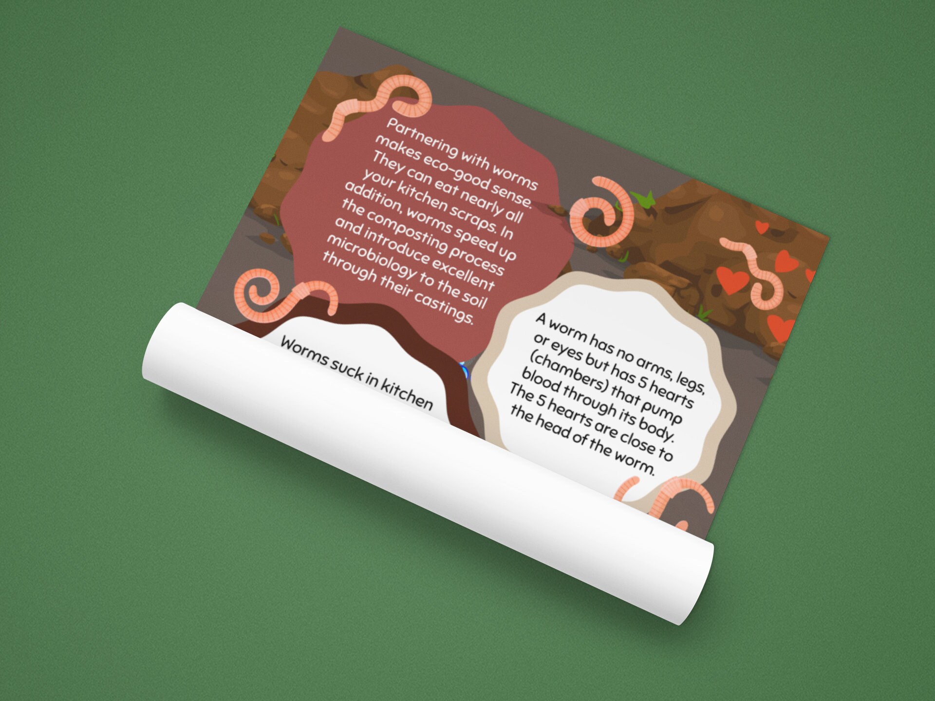 Worm Educational Poster - Etsy