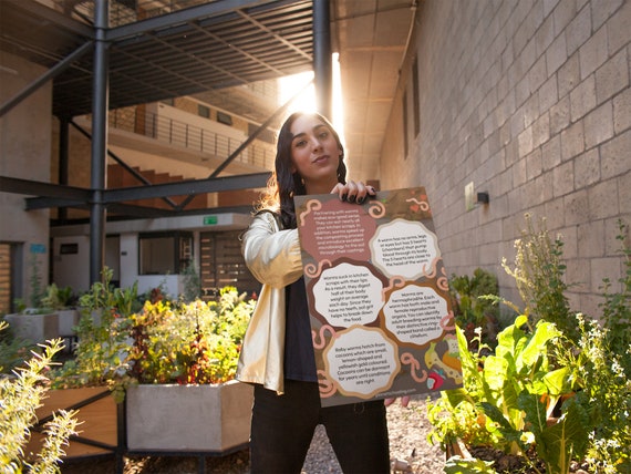 Worm Educational Poster - Etsy