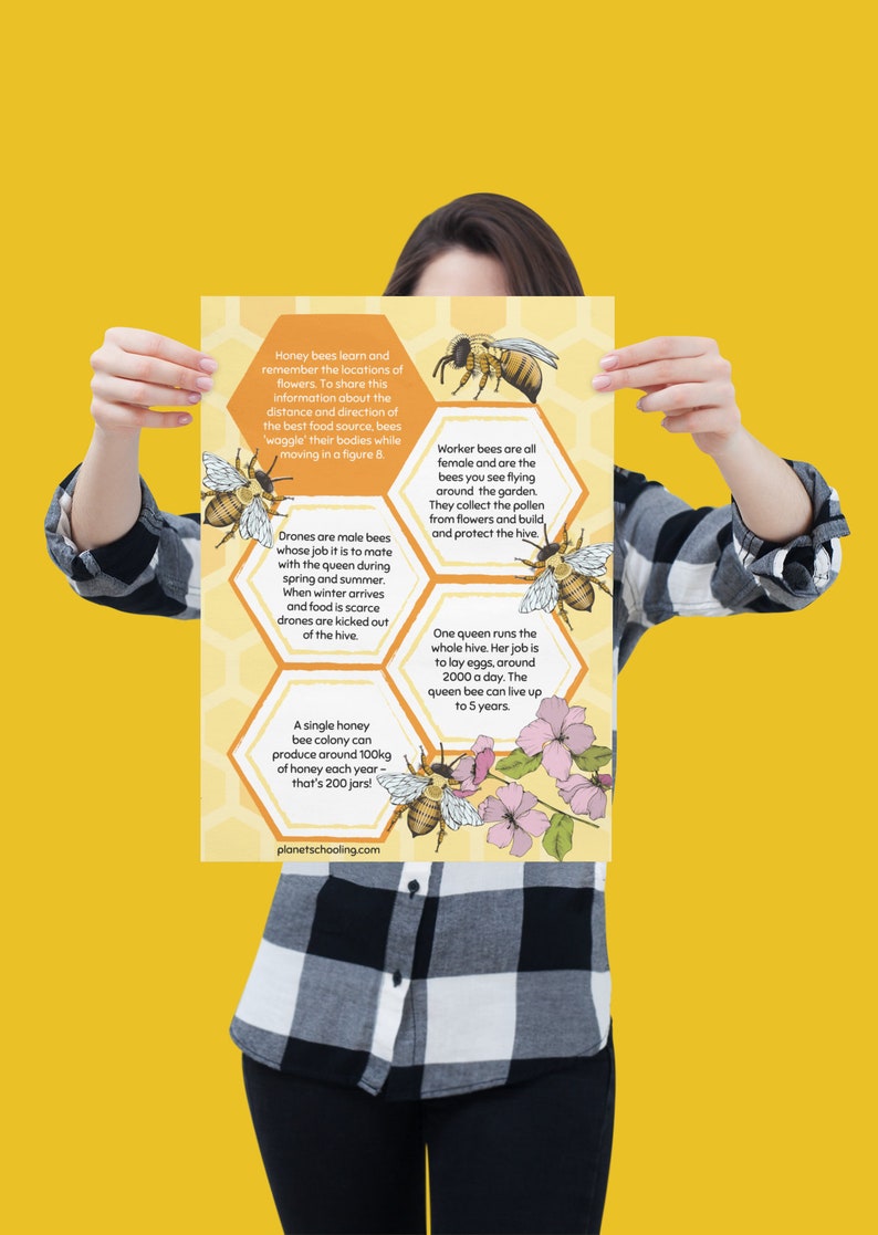Honey Bee Poster - Etsy