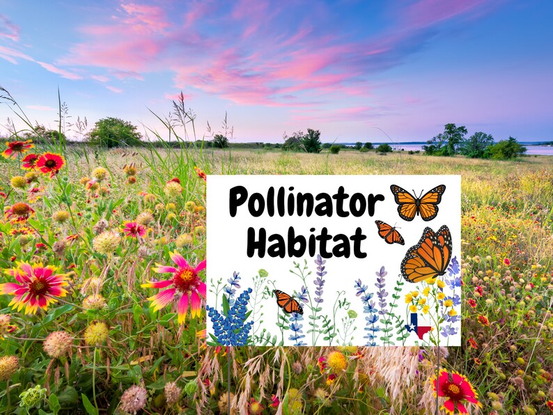 Pollinator Habitat - Etsy