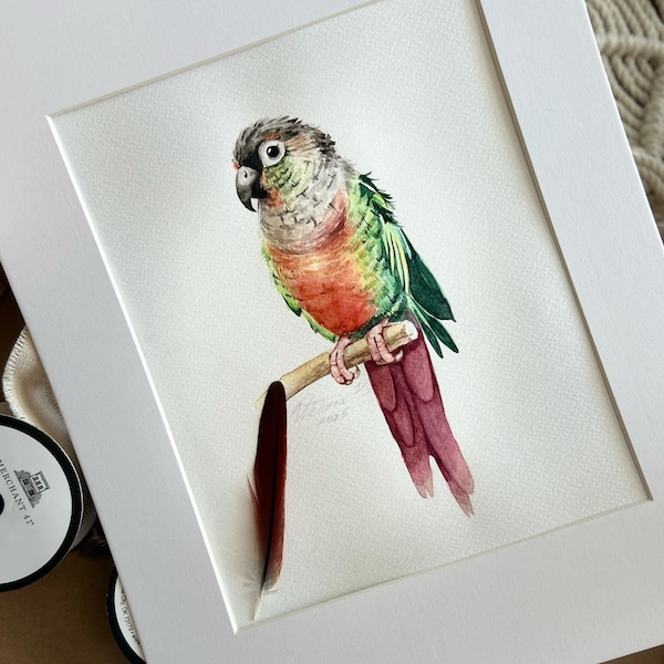 Green Cheek Conure - Etsy