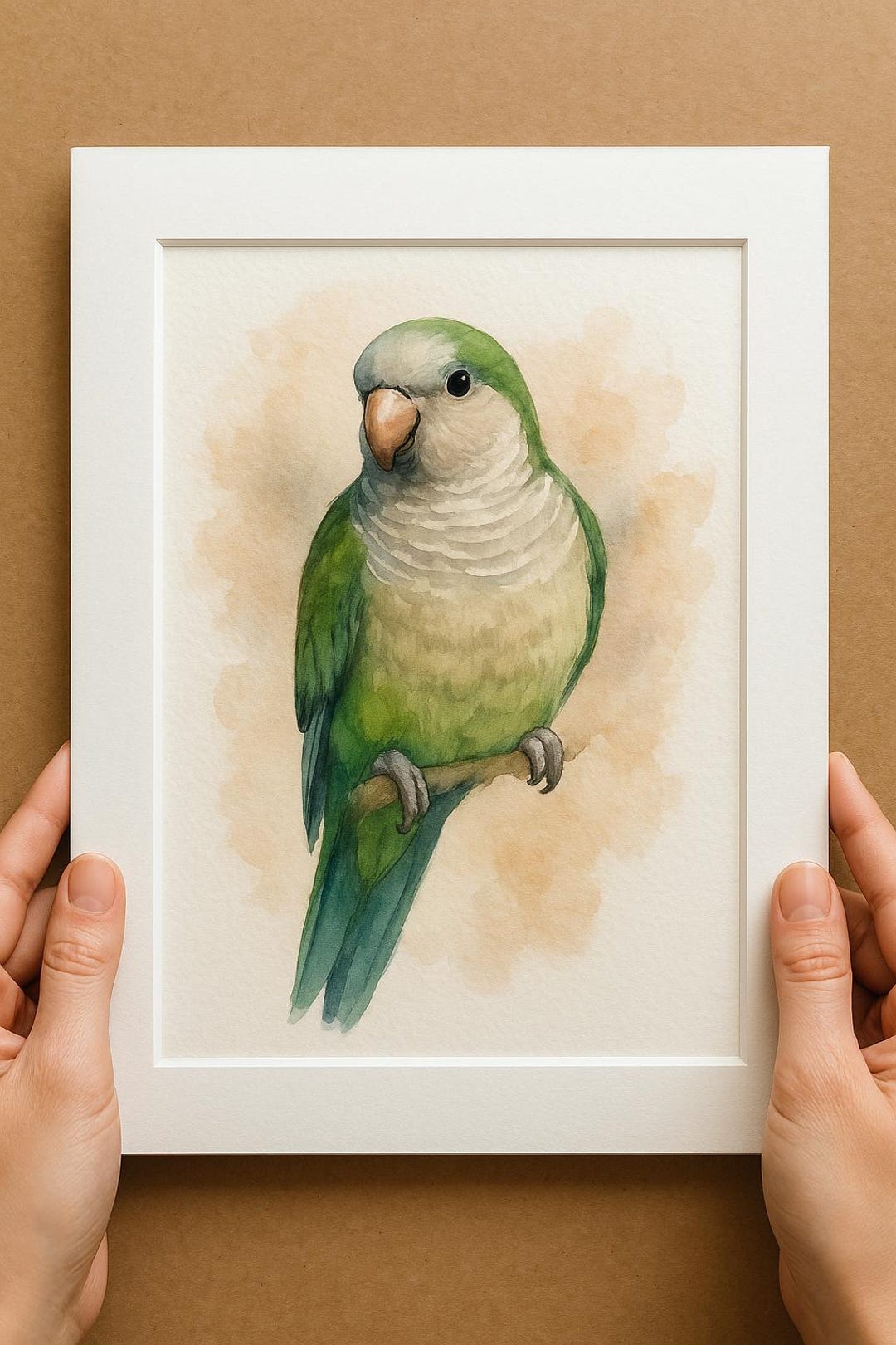 Custom Quaker Parrot Watercolor Portrait, Pet Memorial Art - Etsy