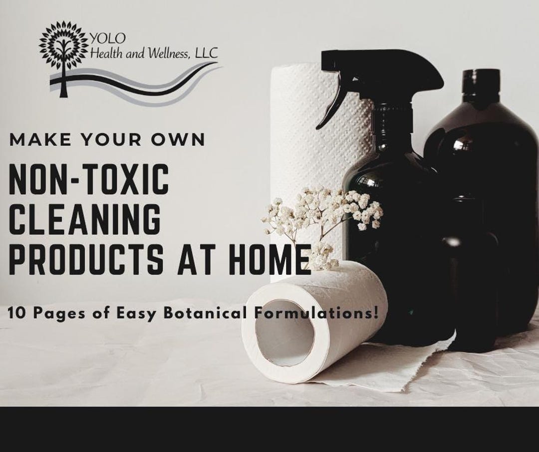 Do It Yourself (DIY) Digital Non-toxic Cleaning Products Guide ...