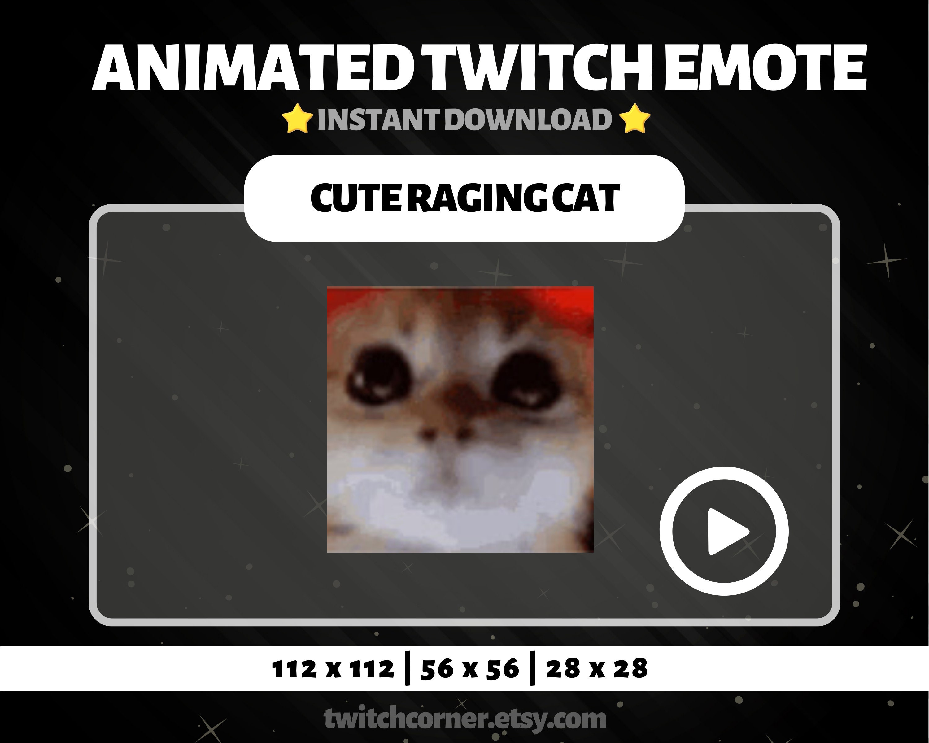 Funny Moving Cat Animations