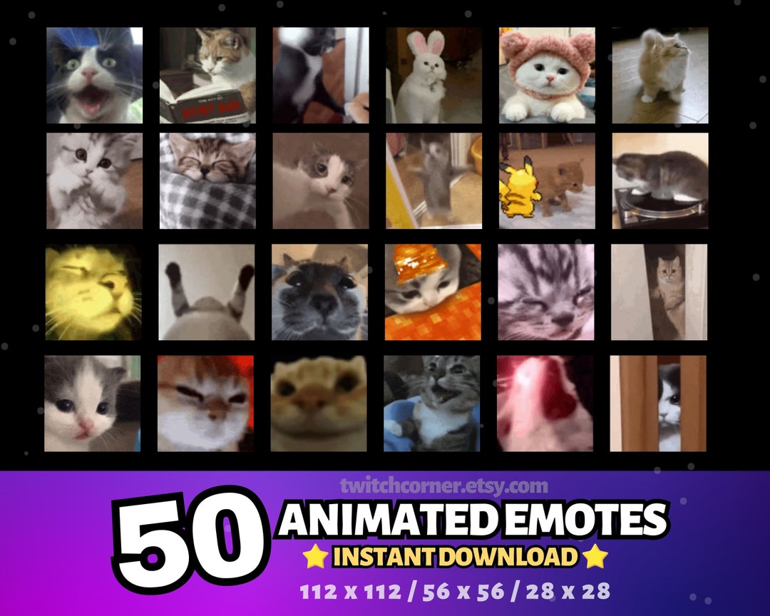 50 gestos animados de gatos, memes animados de gatos: gestos de gatos ...