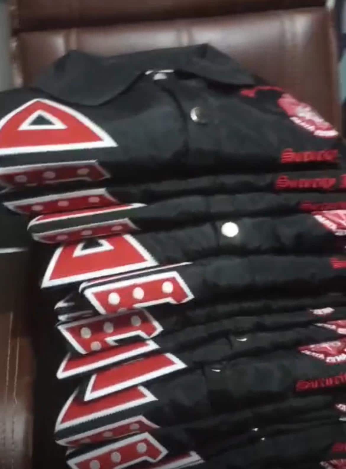 Delta Sigma Theta Embroidered Greek Line Jacket, Delta Paraphernalia - Etsy