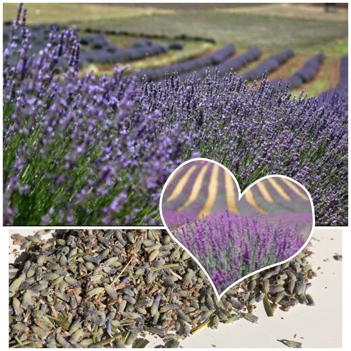 LAVENDER PILLOW SACHETS for Drawers Lavender Bundle Set of - Etsy