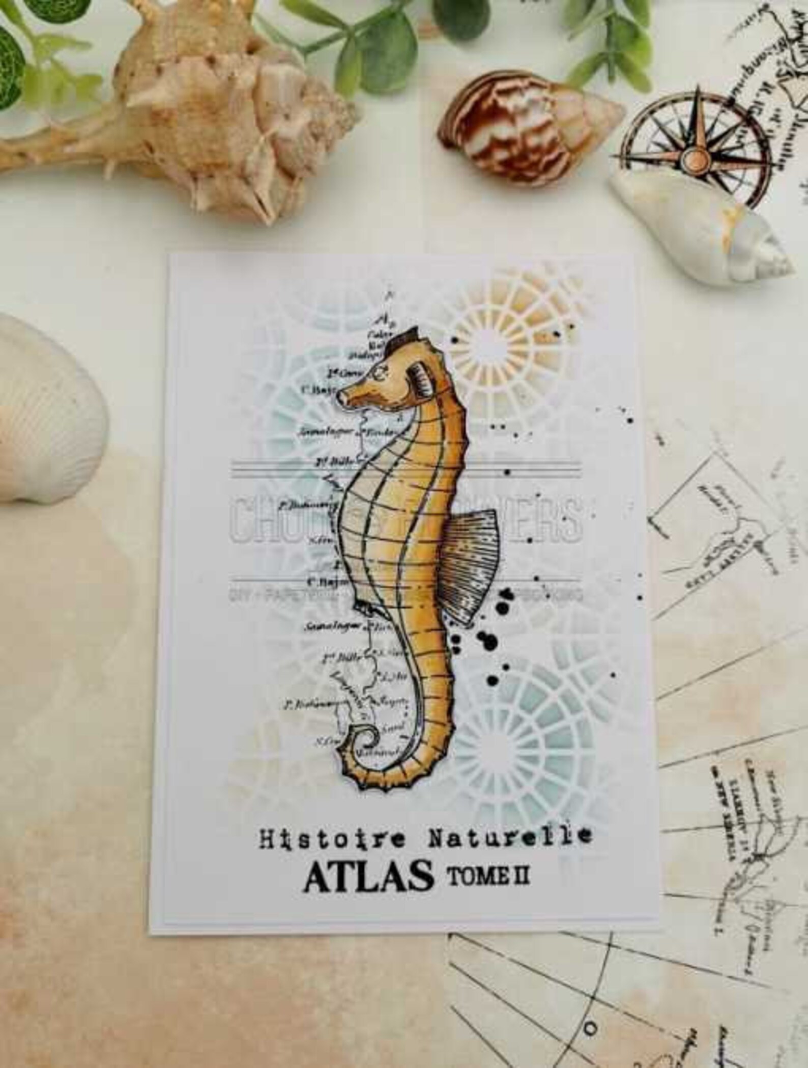 Chou and Flowers SNAIL STENCIL - Etsy