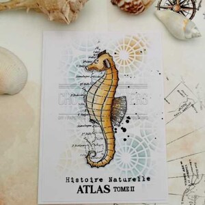 Chou and Flowers SNAIL STENCIL - Etsy