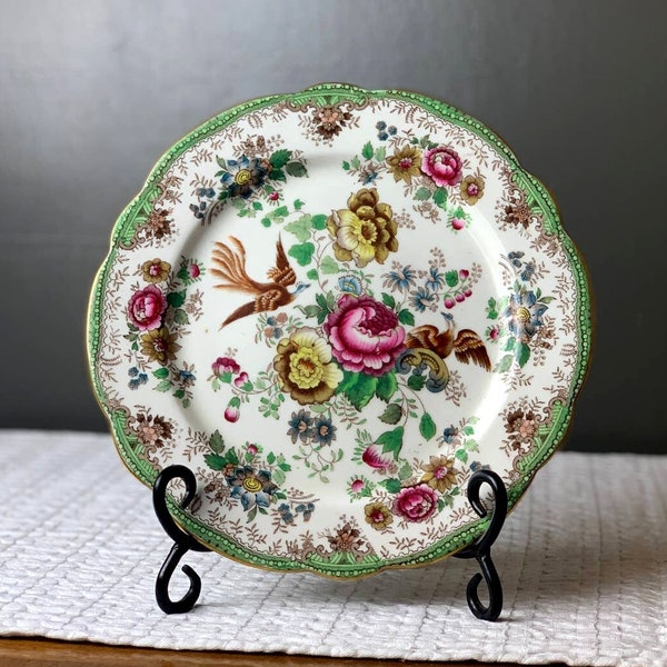 Asiatic Pheasants - Etsy