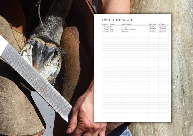 2026 Equine Planner | Horse Health Records (printable PDF) - Etsy
