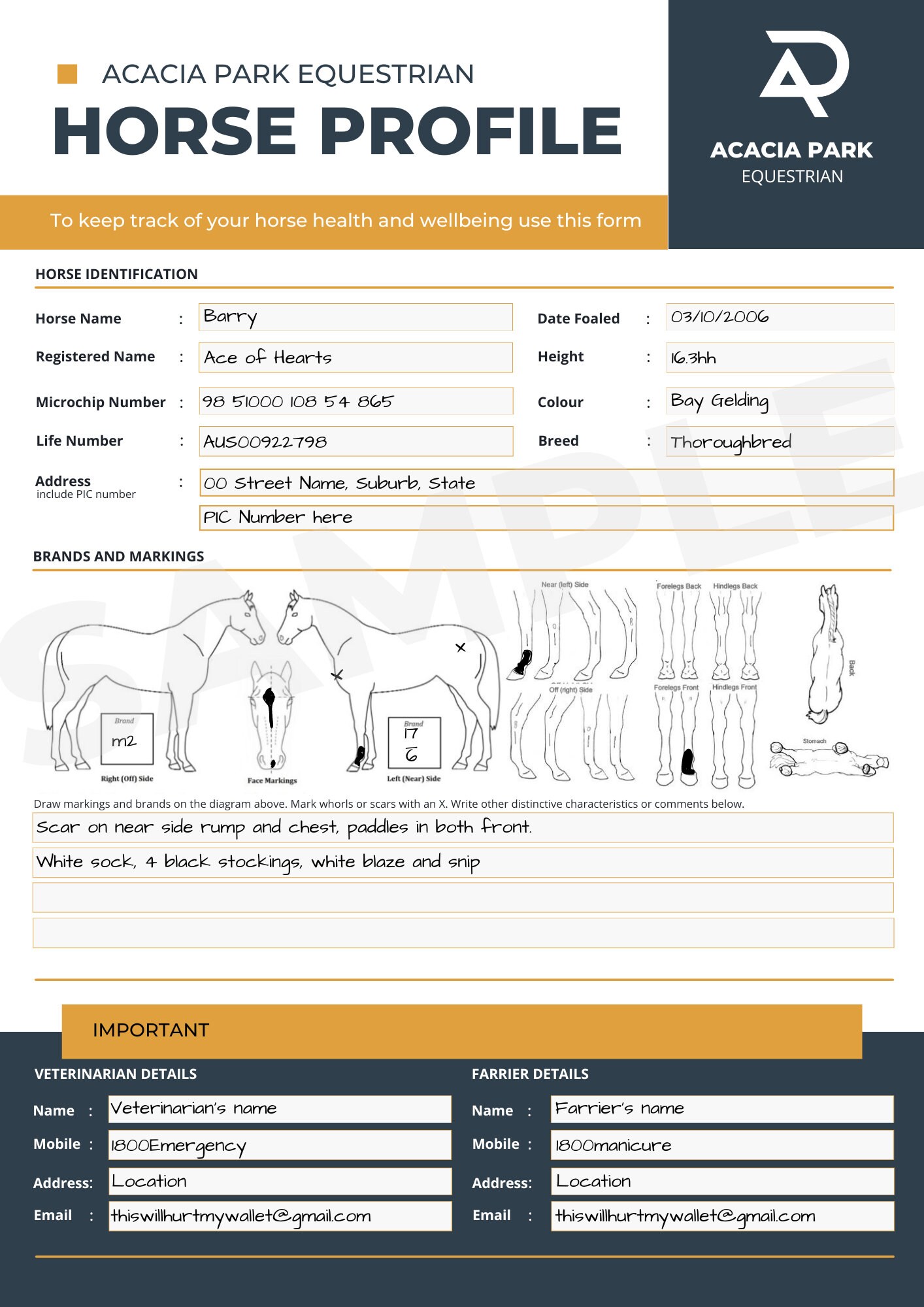 Equine Profile | Horse Records | Horse Health | Print in Colour or B&W ...