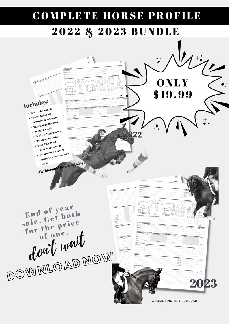 2022 / 2023 BUNDLE Minimalist Mini Equine Planner Horse Records Black ...