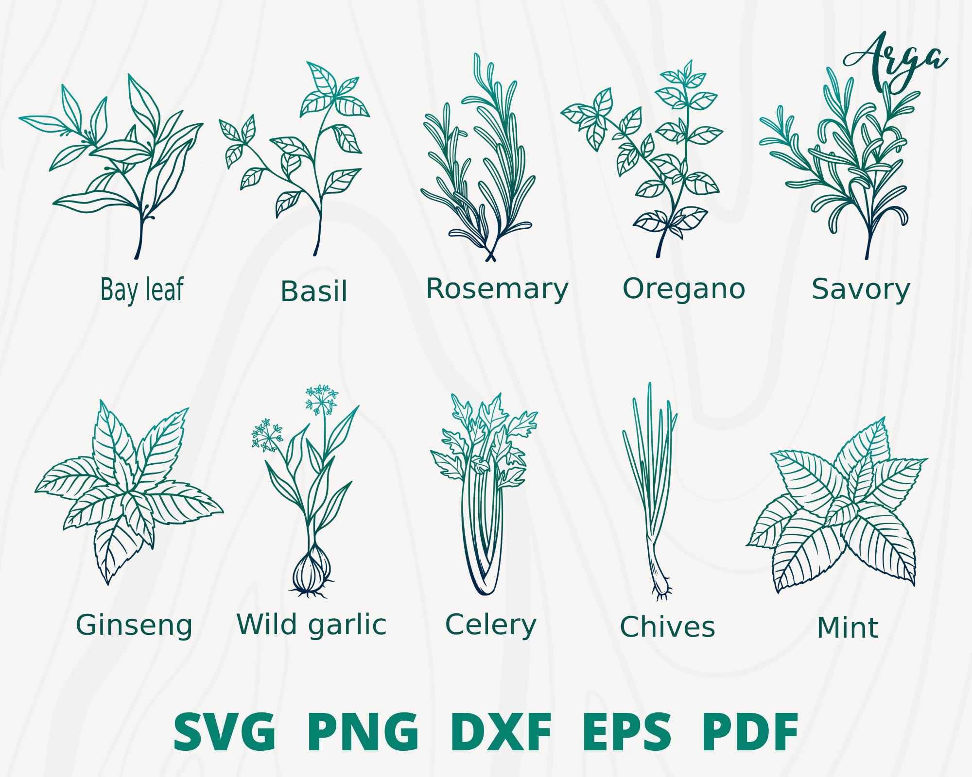 Herbal Leaves Svg Bundle Leaves Svg Herbs Svg Leaf Svg - Etsy UK