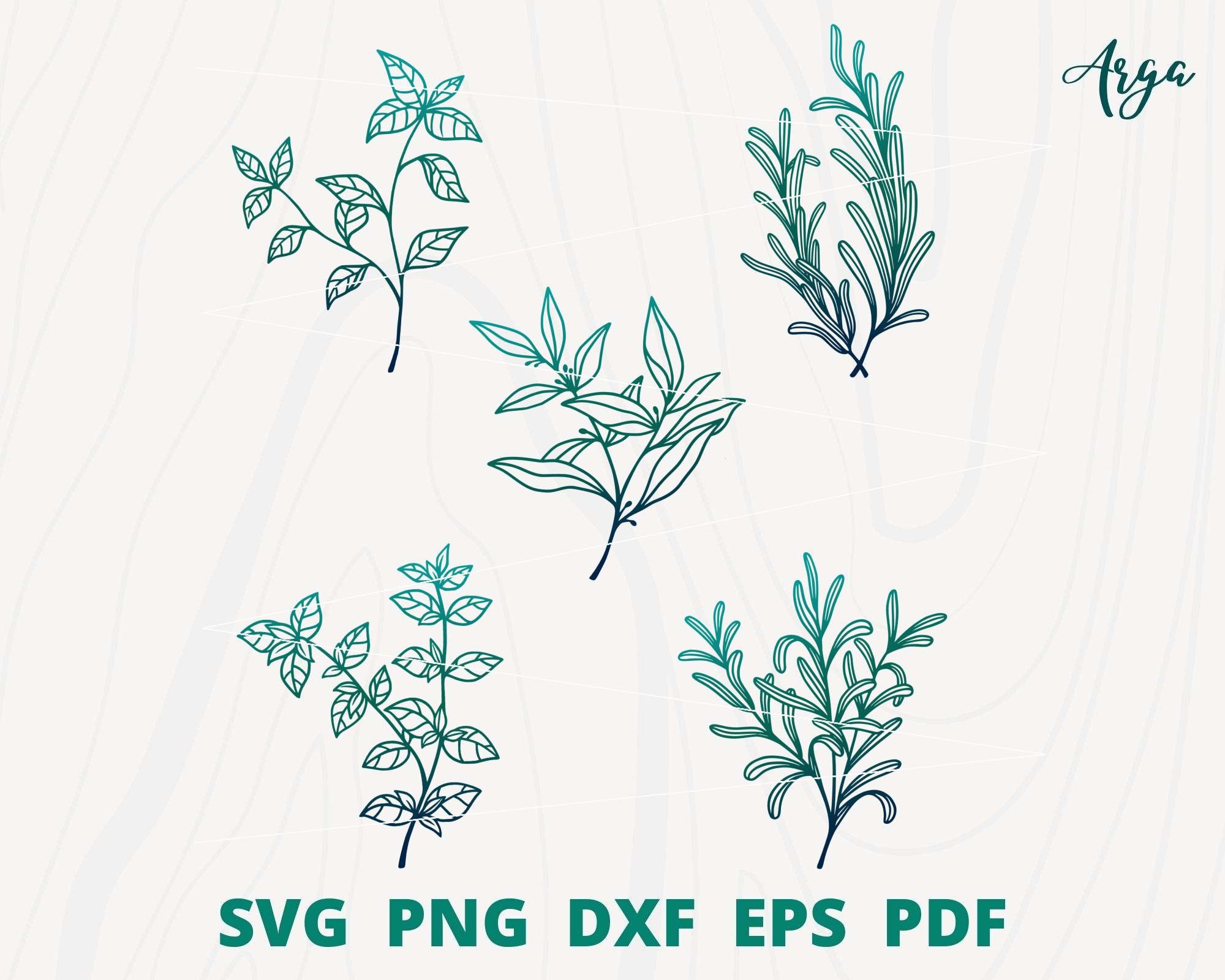Herbal Leaves Svg Bundle Leaves Svg Herbs Svg Leaf Svg - Etsy UK
